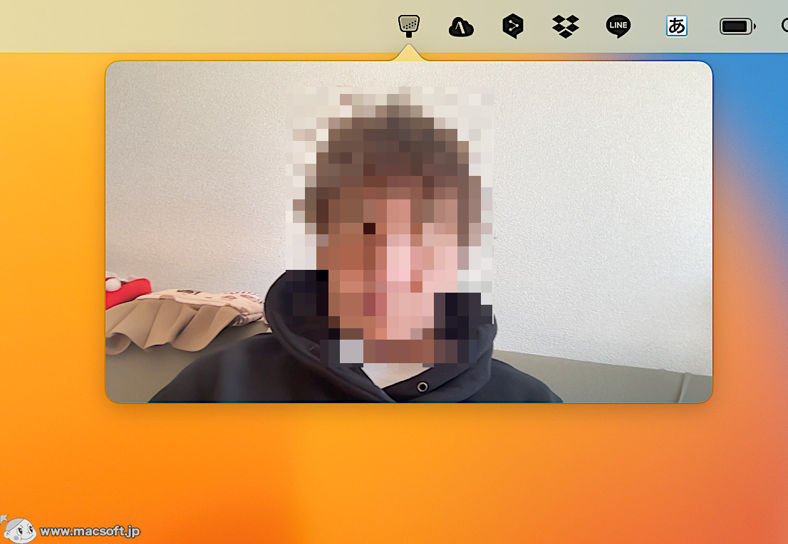 Hand Mirror 3.2 - Macの内蔵カメラを「鏡」として使うアプリ - 新しもの好きのダウンロード