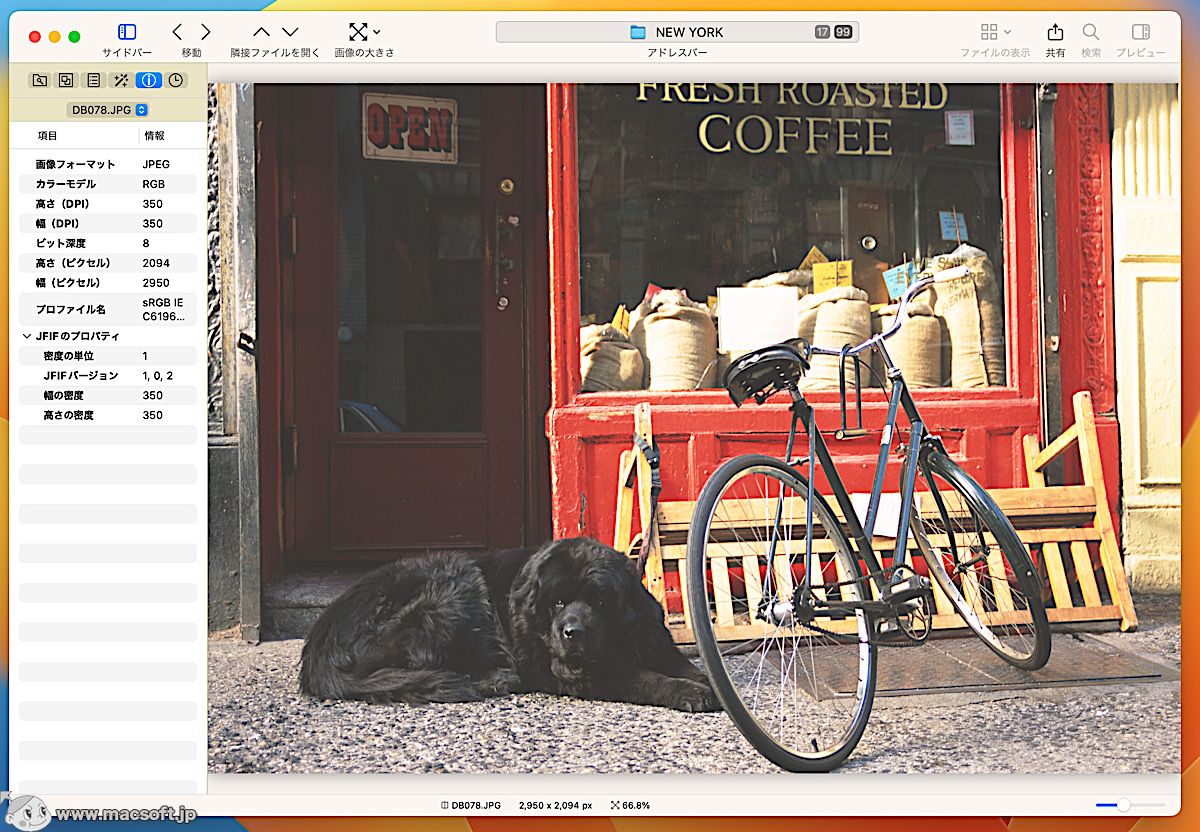 EdgeView 3 v.5.1.7 - アーカイブ内の画像もそのまま表示できる多機能な画像ビューア - 新しもの好きのダウンロード