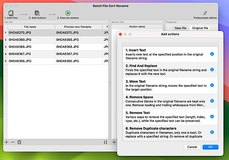 バッチファイルのソートとリネーム 2.8 - ファイルの並び替えと名称変更を効率よく実行 - 新しもの好きのダウンロード
